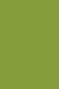 Moss – Fusion Mineral Paint