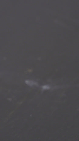 Fresco Texturizing Powder – Fusion Mineral Paint