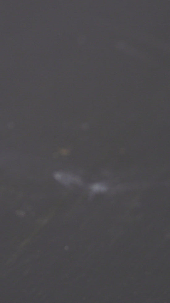 Fresco Texturizing Powder – Fusion Mineral Paint